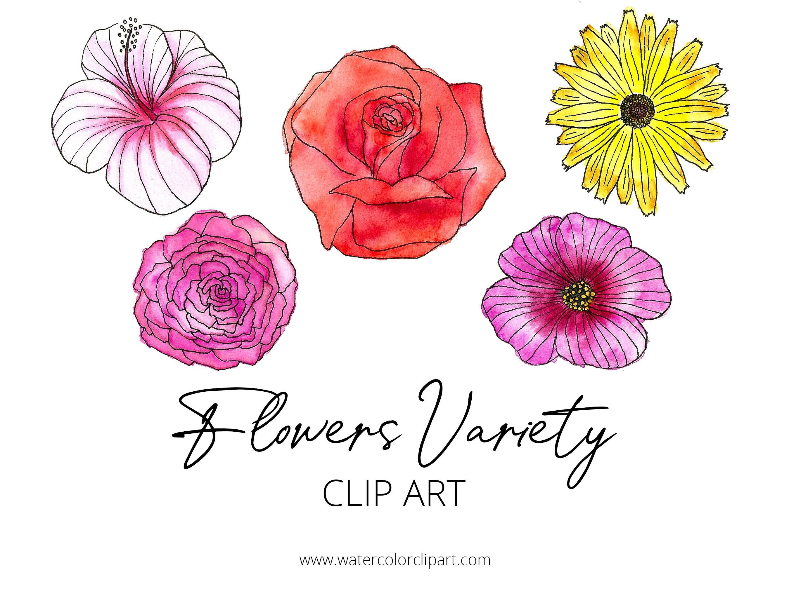 Pink Flower Outline Clipart