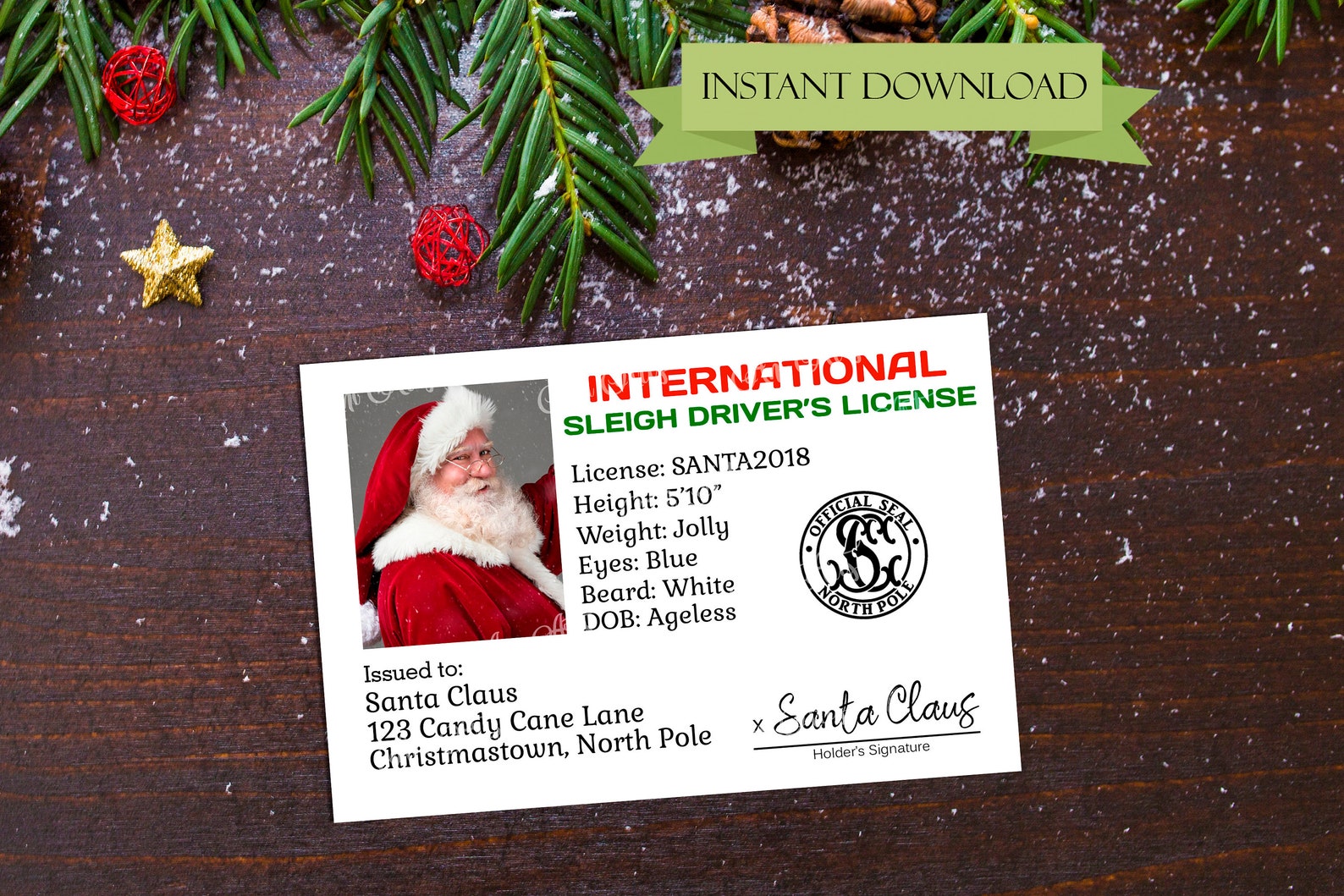 Printable Santa Driver's License, Santa Lost Driver License Printable ...