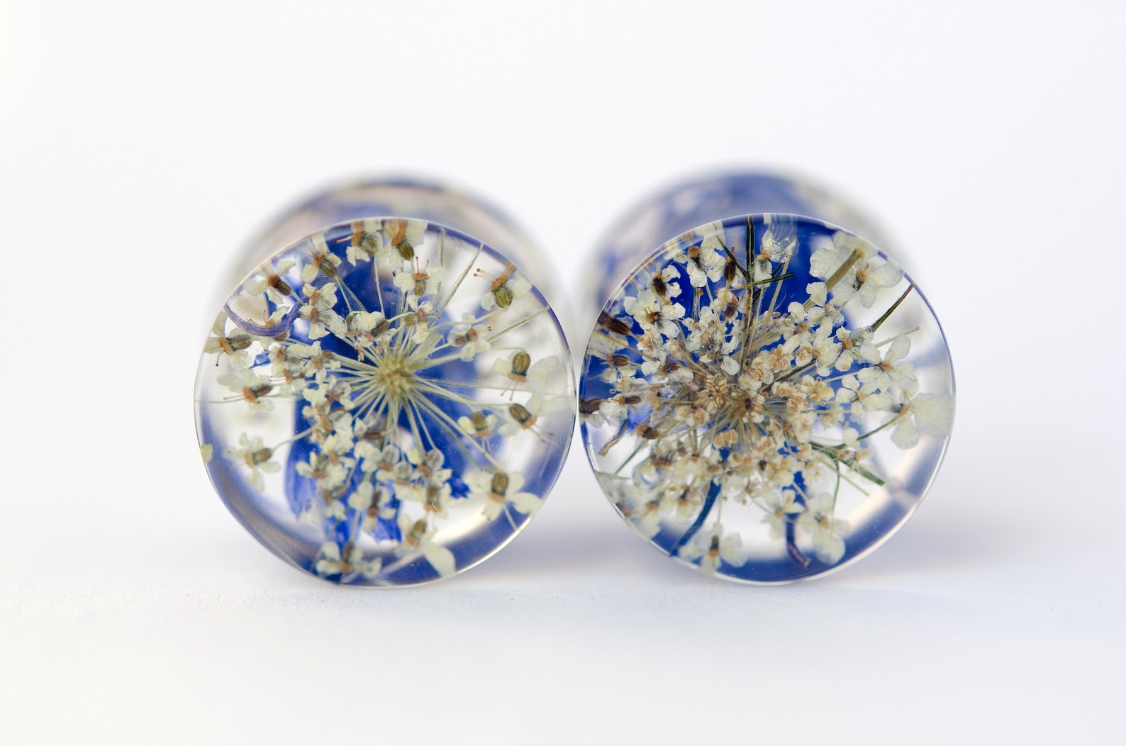 Blue Ear Plugs Real Flower Ear Plugs Botanical Ear Gauges - Etsy