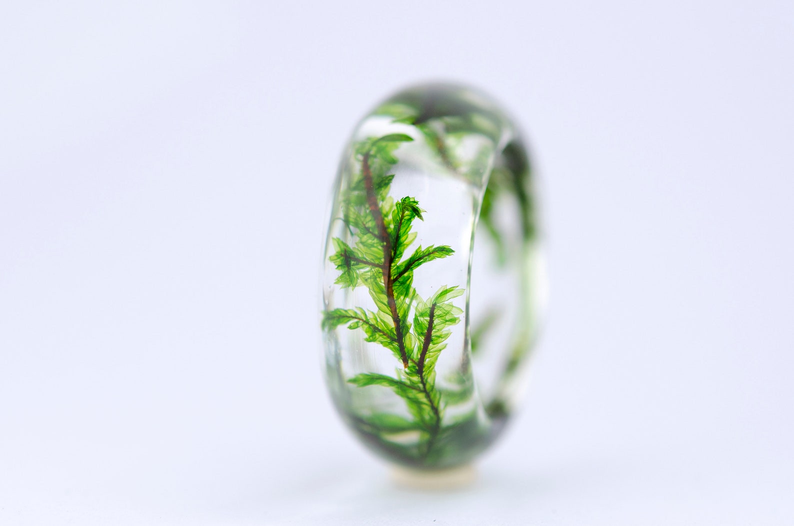 Real Moss Ring Statement Ring Nature Resin Green Moss Ring - Etsy