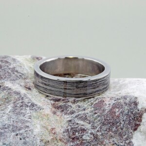 Titanium Ring With Poplar. Men's Titanium Ring With Poplar, Wedding ...