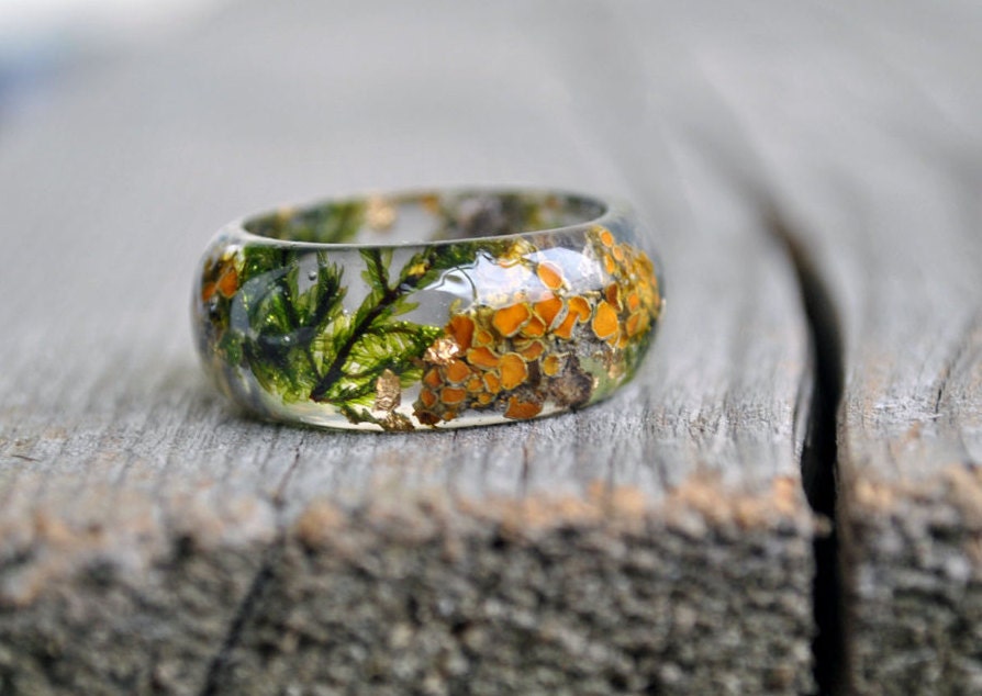 Terrarium Resin Ring with Natural Forest Moss and Brown Bark | Etsy