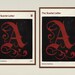 The Scarlet Letter Medium Literary Book Cover Print, Bookish Gift ...