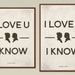 I Love You, I Know - Leia Solo Star Wars Love Quote Poster Medium ...