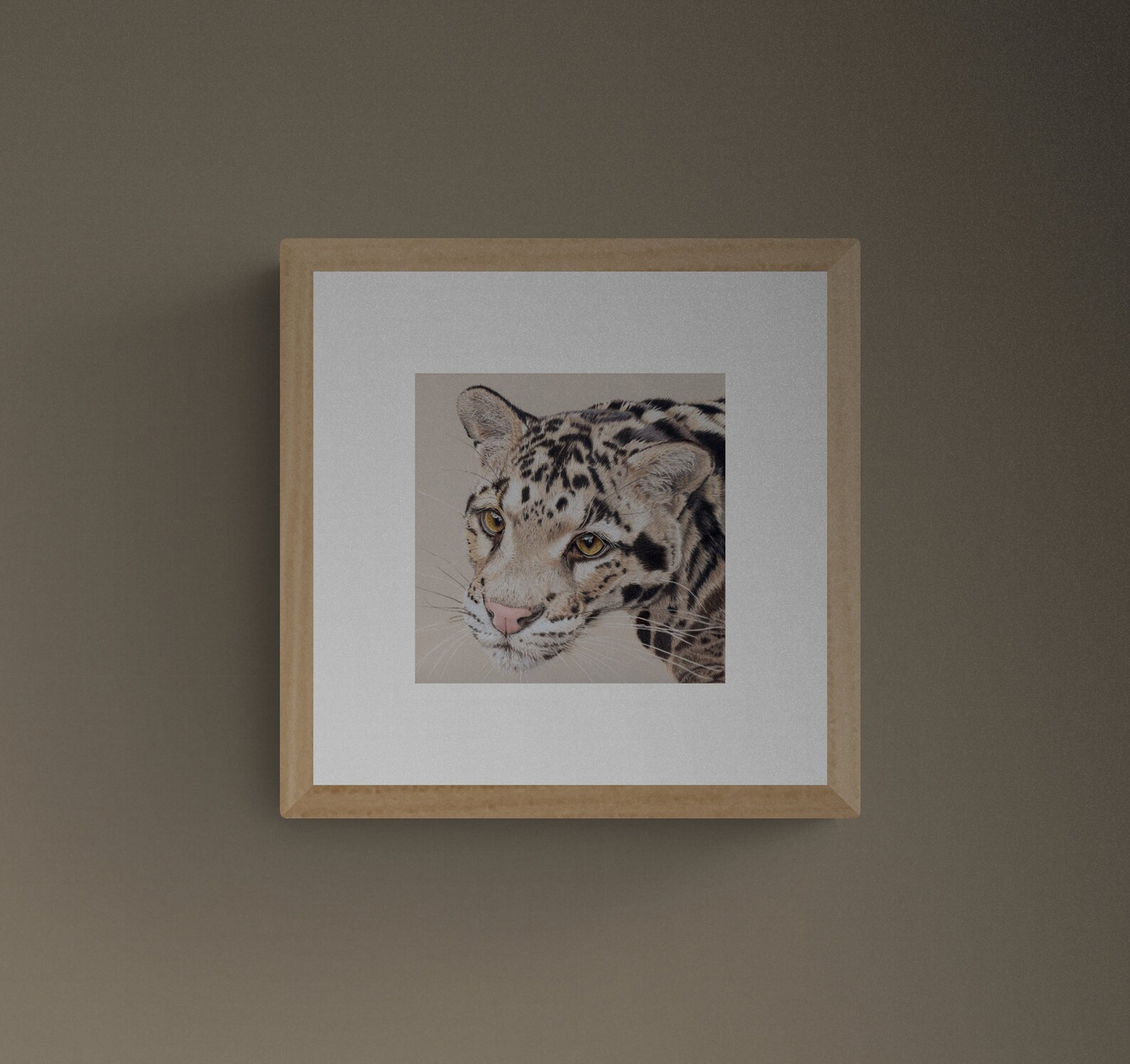 Clouded Leopard 8x8 Inch Fine Art Giclee Print Big Cat Print Etsy clouded-leopard-8x8-inch-fine-art-giclee-print-big-cat-print-etsy