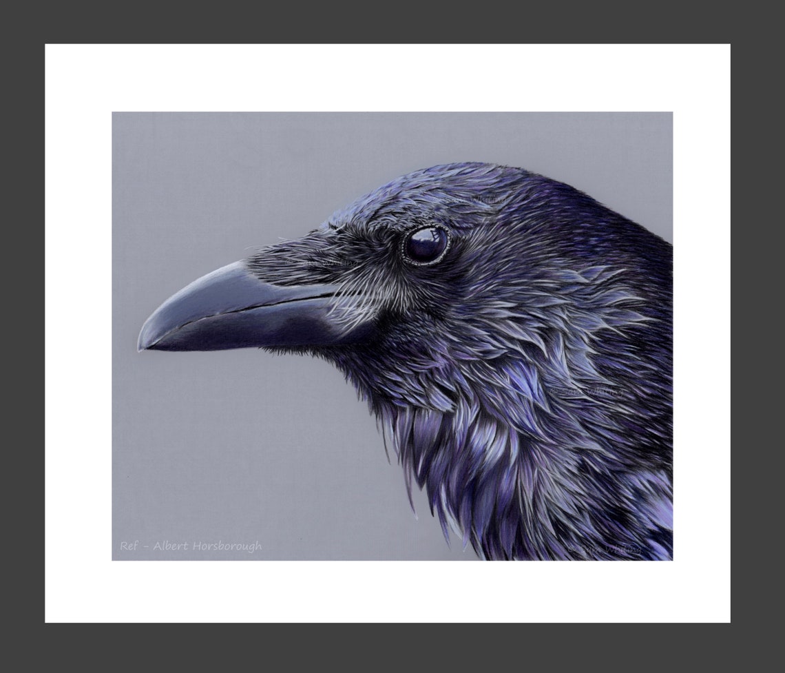 Raven Profile Portrait Fine Art Giclee Print 10x8ins - Etsy
