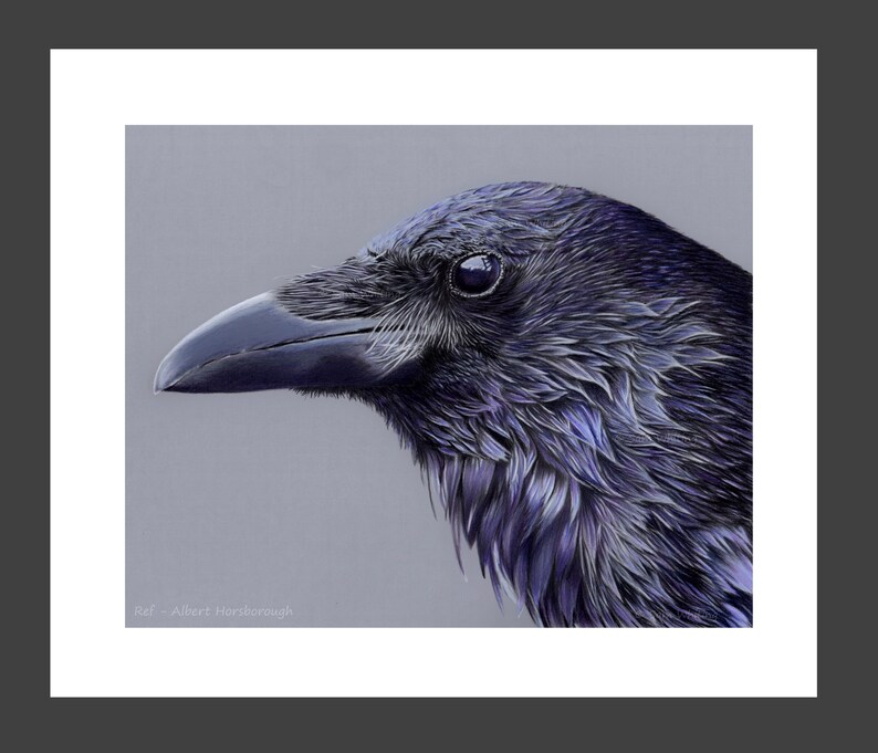 Raven Profile Portrait Fine Art Giclee Print 10x8ins - Etsy