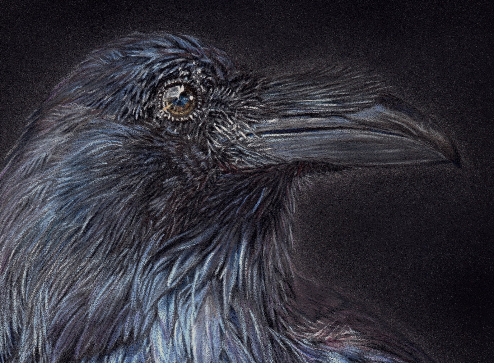 Raven 8x10 Inch Giclee Fine Art Print Corvid Print - Etsy