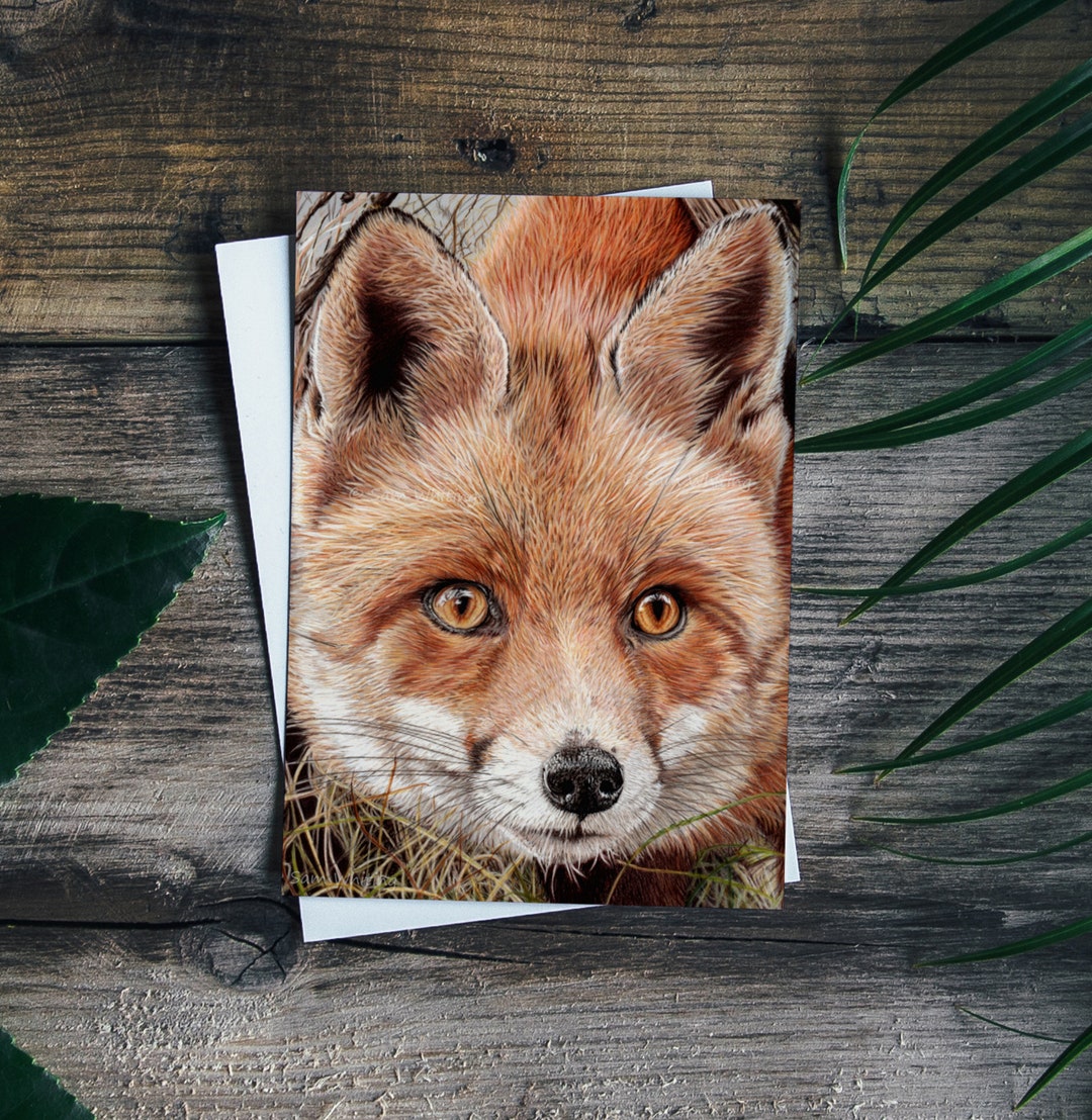 Fox - Foxy Face Blank Greetings Card - Art Card - Etsy