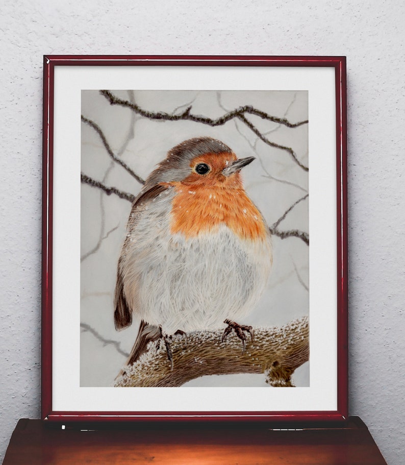 Robin Fine Art Giclee Print Robin Redbreast. - Etsy
