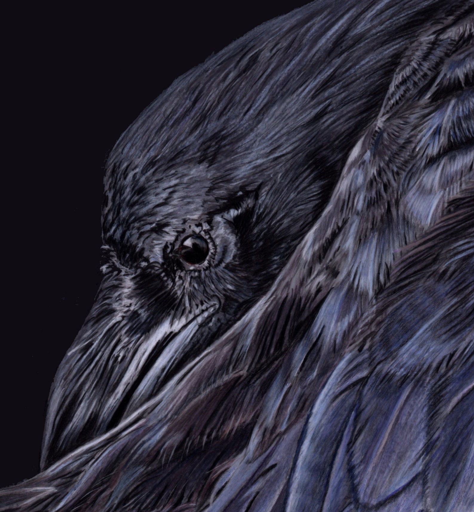 Raven 8x10 Inch Giclee Fine Art Print Corvid Print - Etsy