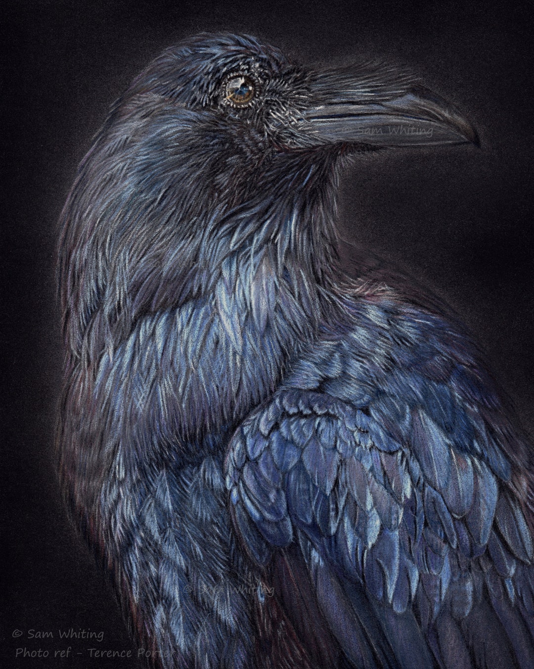 Raven 8x10 Inch Giclee Fine Art Print Corvid Print - Etsy