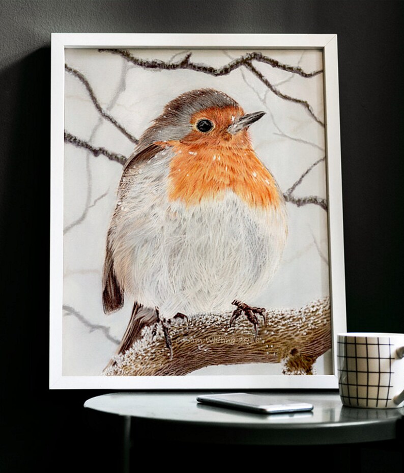 Robin Fine Art Giclee Print Robin Redbreast. | Etsy