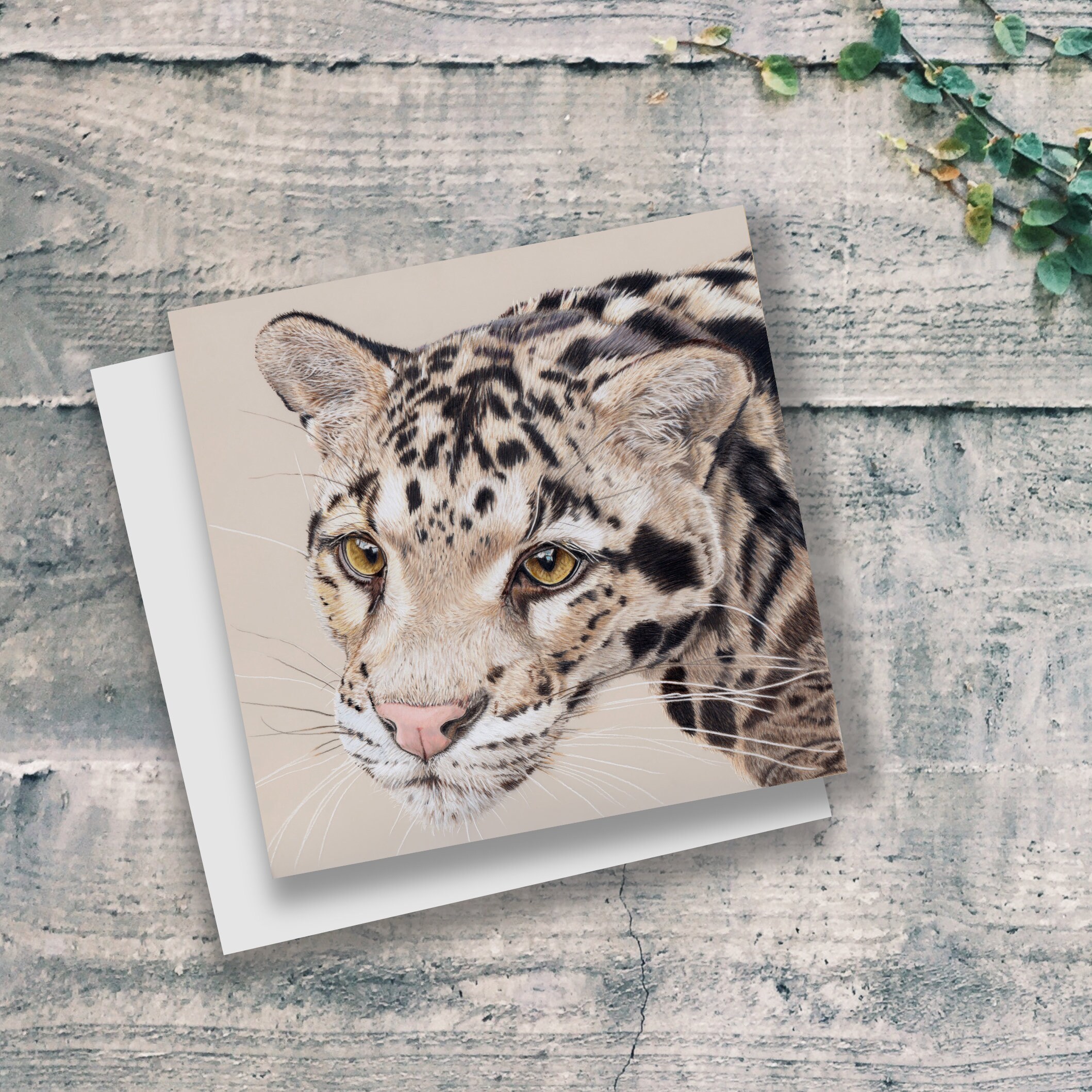 Clouded Leopard Blank Greetings Card Art Notelet - Etsy