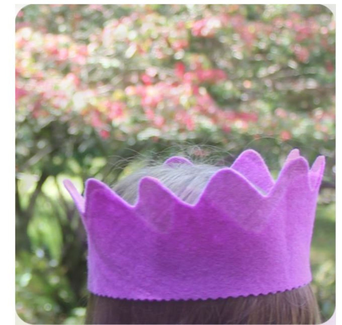 Colorful Wool Felt Crowns Set of 6 | Etsy