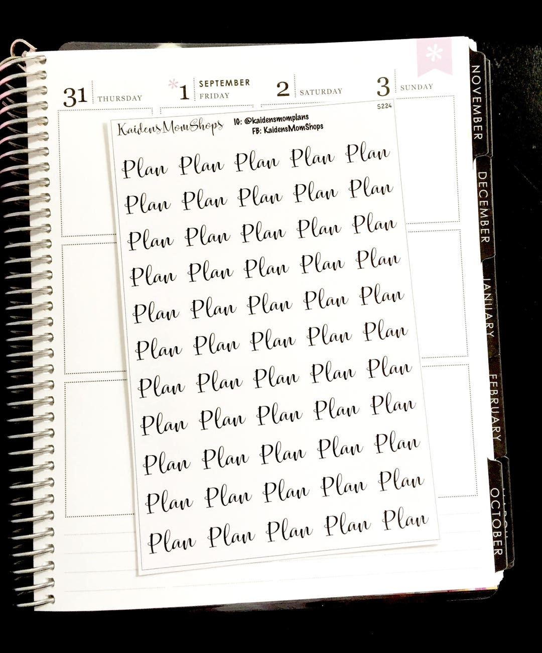 Plan Fancy Script Word Stickers S224 - Etsy