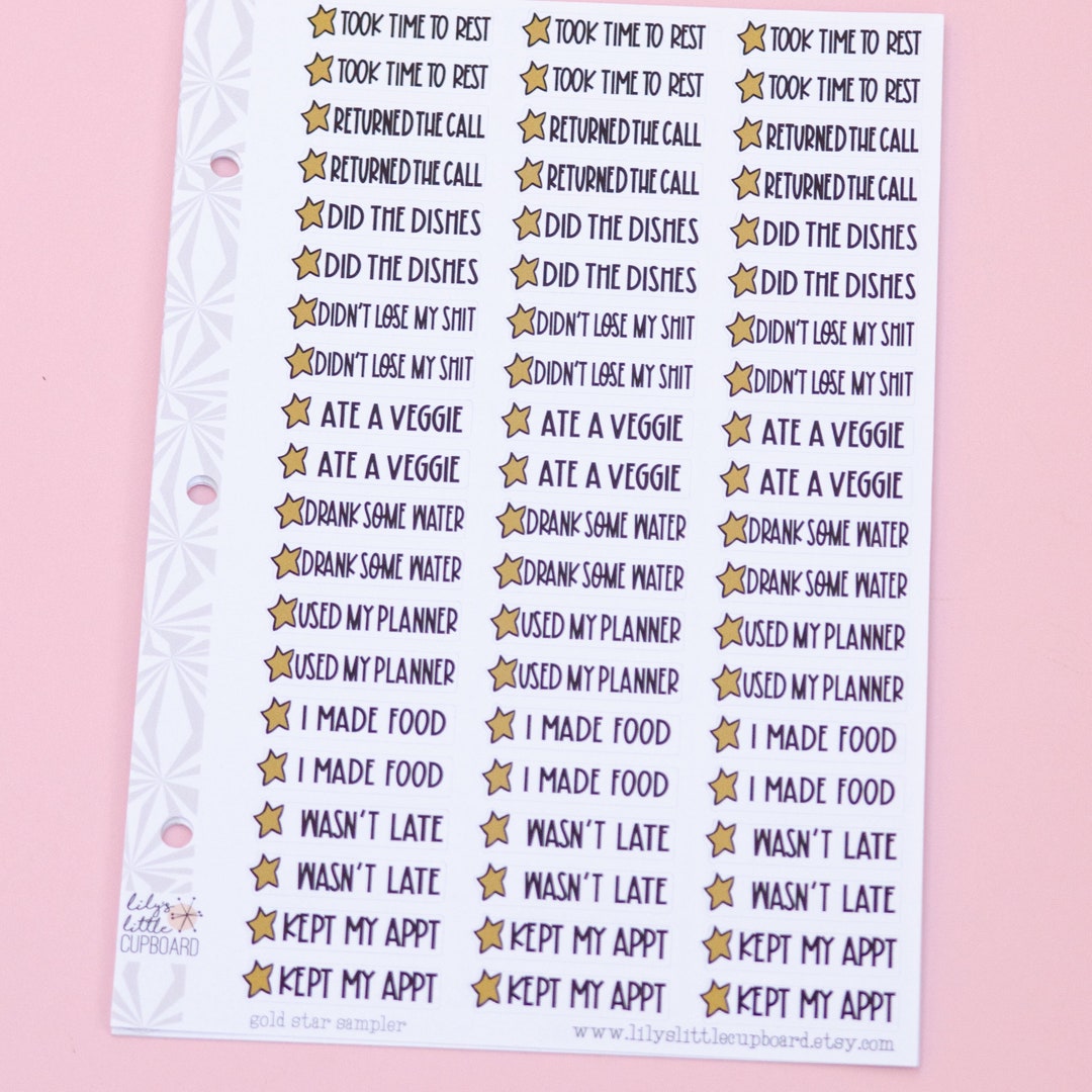 Gold Star Adulting Awards Sampler | Adulting Planner Stickers | Grownup ...
