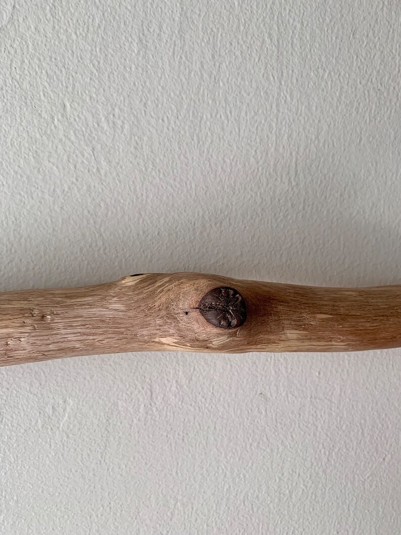 36 Inch Thick Rustic Tree Branch, Decorative Branch Rod for Hanging ...