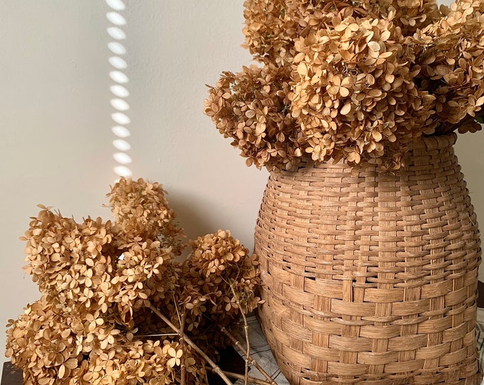 Dried Rustic Brown Limelight Hydrangea Bouquet, 5 Stem Bunch, Autumn ...