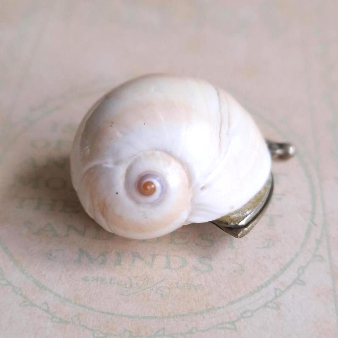 Vintage Shiva Eye Shell Locket – Natural Operculum Pendant – Good Luck ...