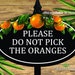 Please Do Not Pick Oranges Sign With Stake - Etsy