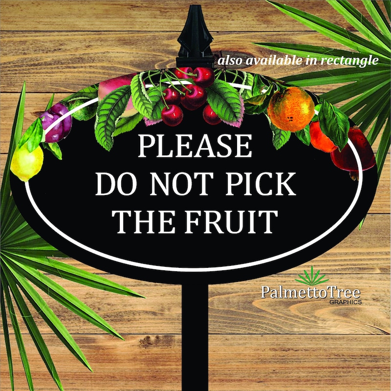 Fruit Decorations - Etsy