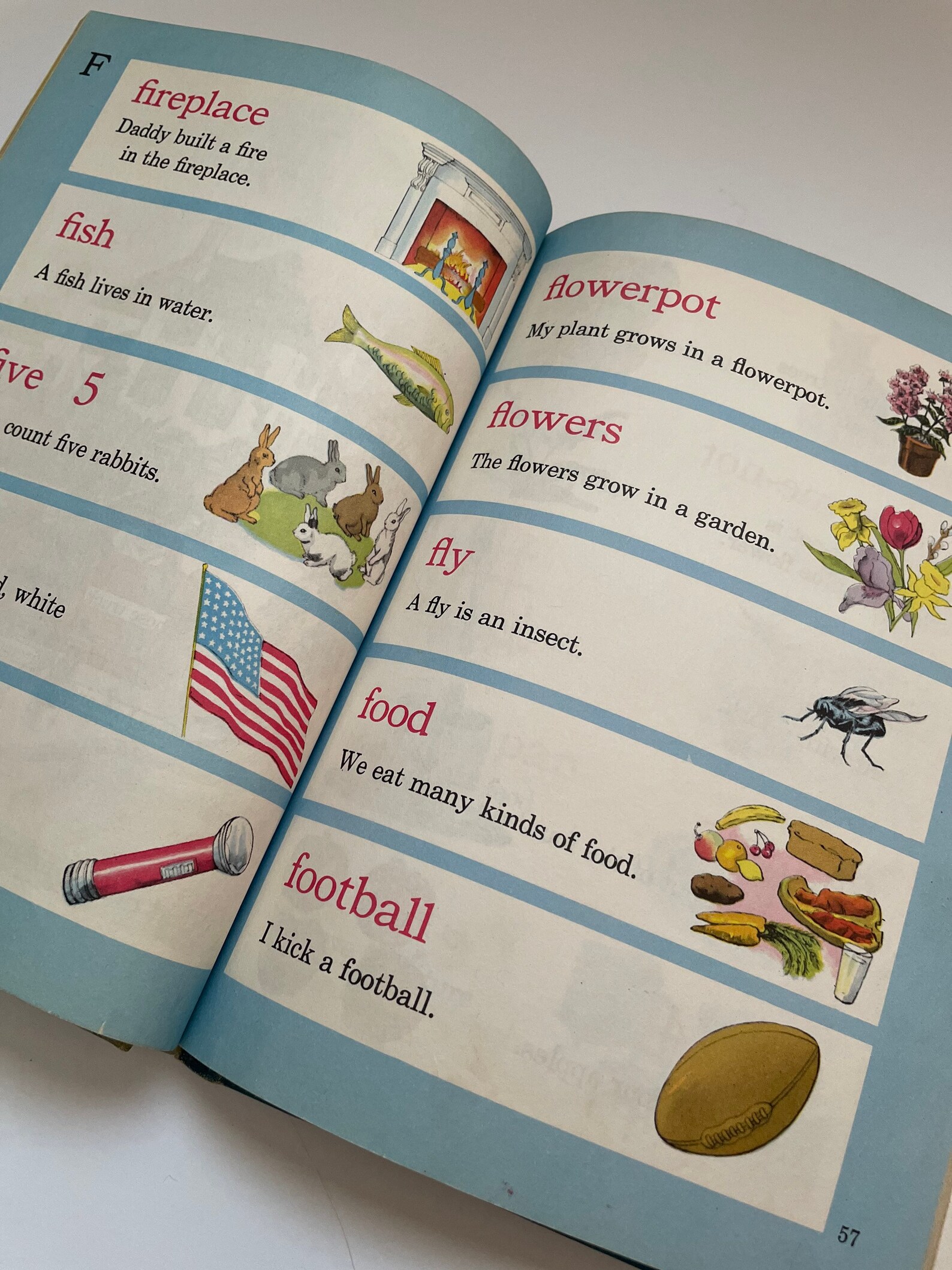 Vintage 1948 My FIRST DICTIONARY Adorable Childrens | Etsy