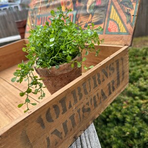 Large Antique 1800s Victorian Era Wooden Crate - Box - Vintage ...