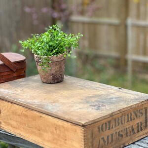 Large Antique 1800s Victorian Era Wooden Crate - Box - Vintage ...
