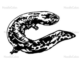 Hellbender Salamander Svg - Etsy