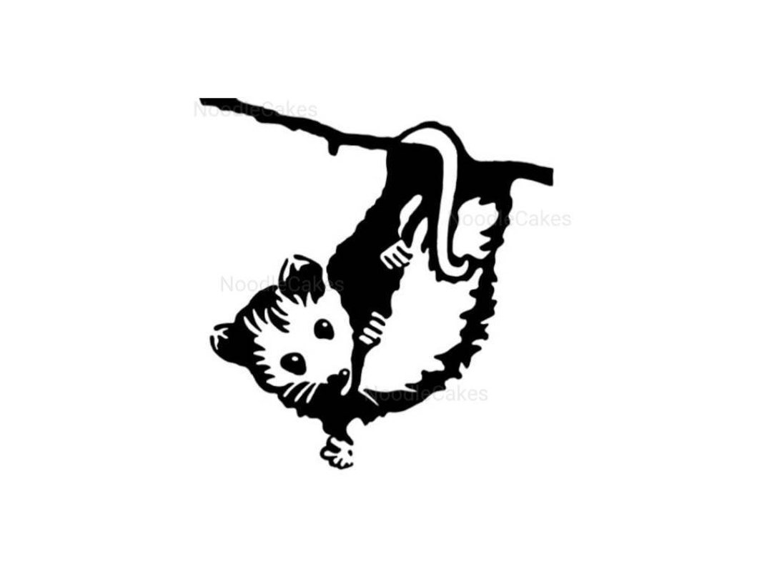 Baby Possum Vinyl Decal, Possum Sticker, Possum Decal - Etsy