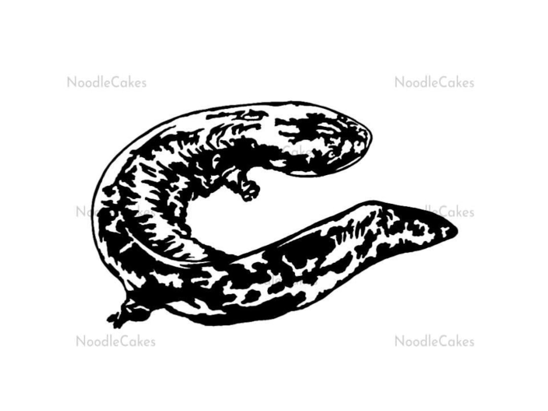 Hellbender Decal, Hellbender Vinyl Sticker, Salamander Decal, Unique ...
