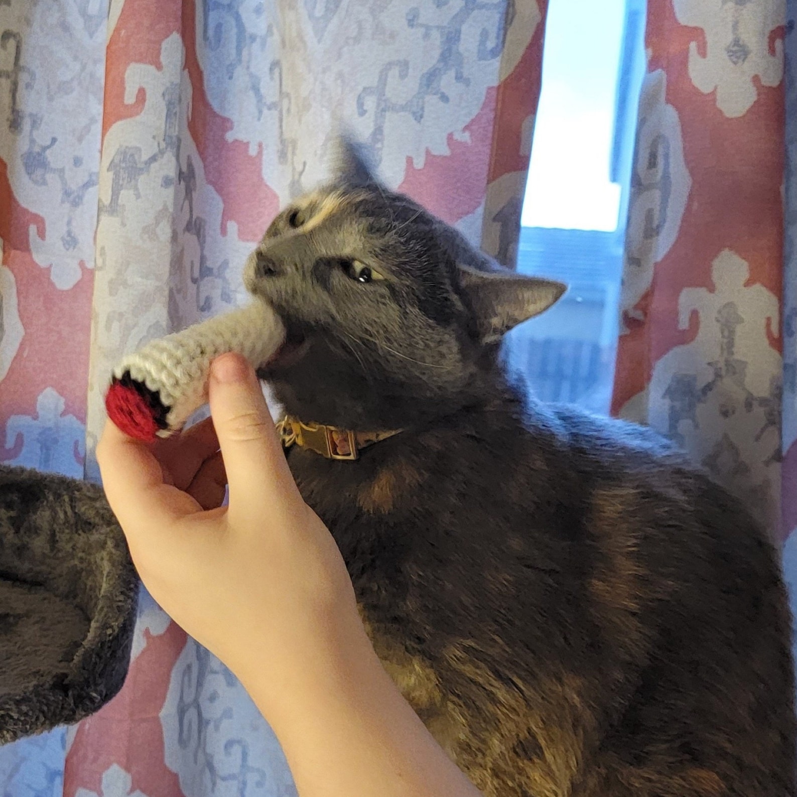 Catnip Doobie Toy Novelty Cat Toy Catnip Joint Toy Crochet | Etsy