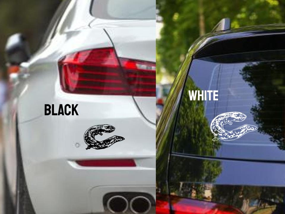 Hellbender Decal Hellbender Vinyl Sticker Salamander Decal - Etsy