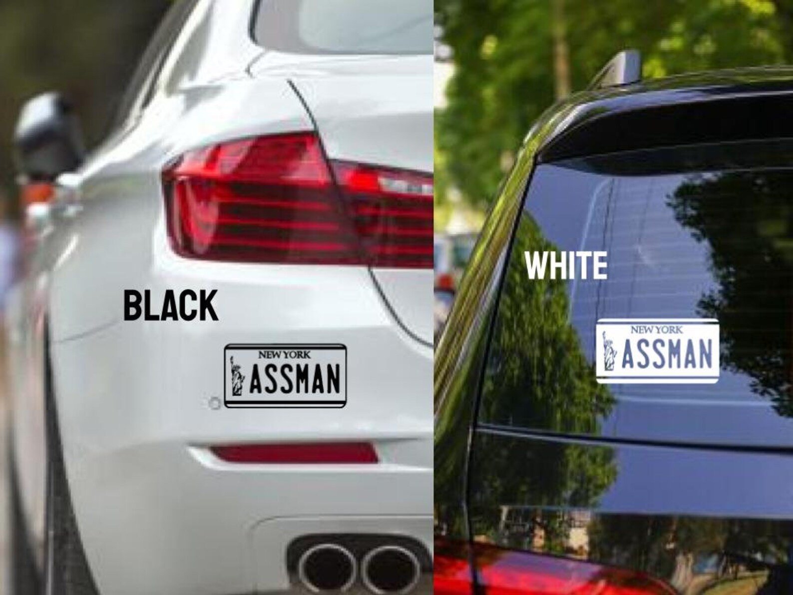 Assman License Plate Decal Funny Decal Seinfeld Decal | Etsy