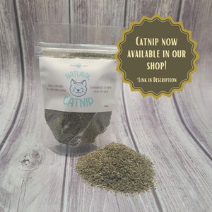 Catnip Doobie Toy, Novelty Cat Toy, Catnip Joint Toy, Crochet Joint Cat Toy, Funny Catnip Toy ...