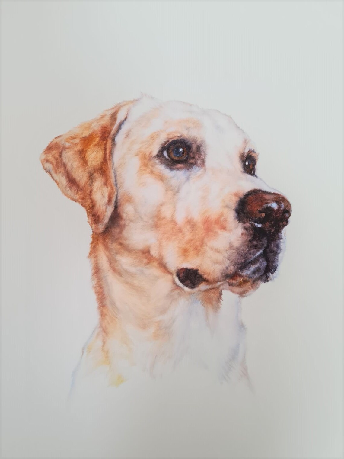 Labrador Print Dog Gift Pet Portrait Lab Gift for Him or | Etsy