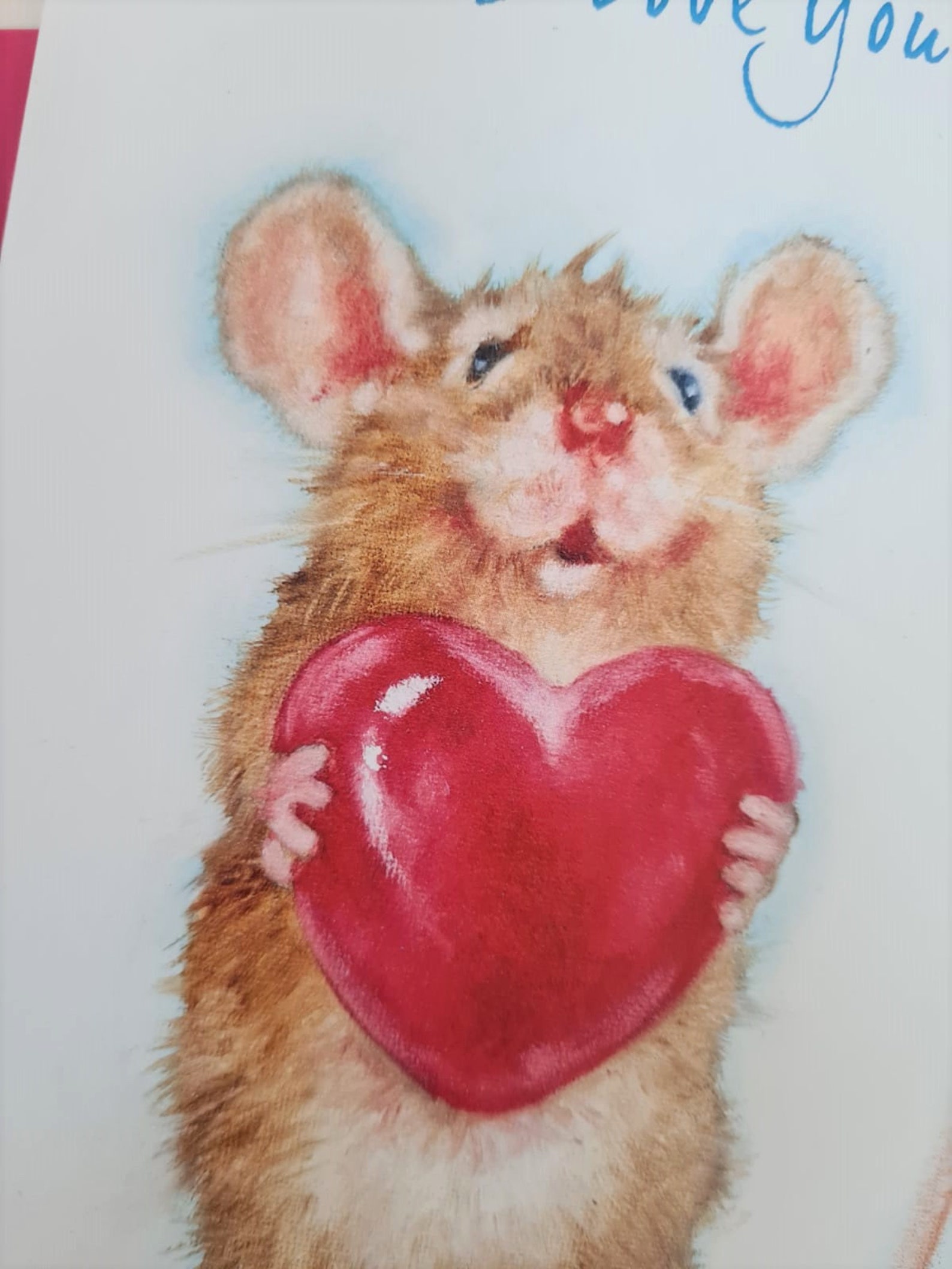 Personalised Animal Love Card Animal Anniversary Card for Him - Etsy