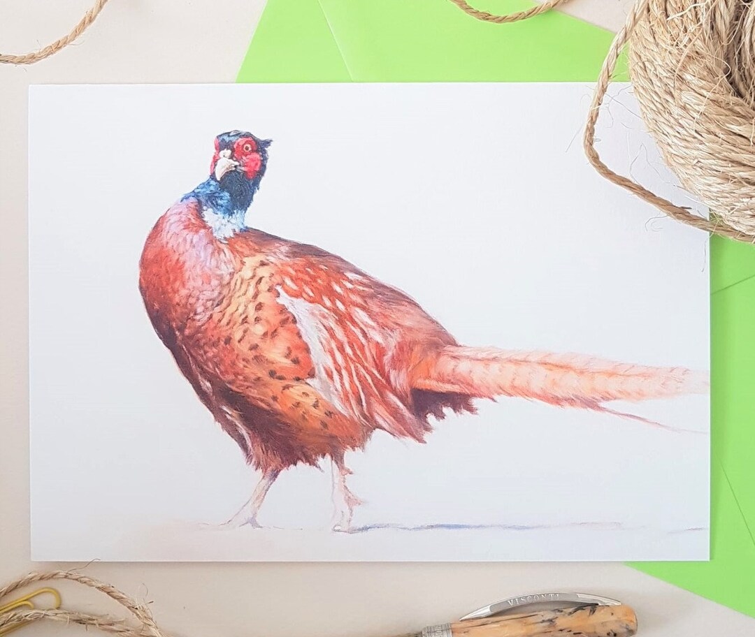 Pheasant Everyday Blank Card & Notelet Pheasant Birthday Card Wild ...