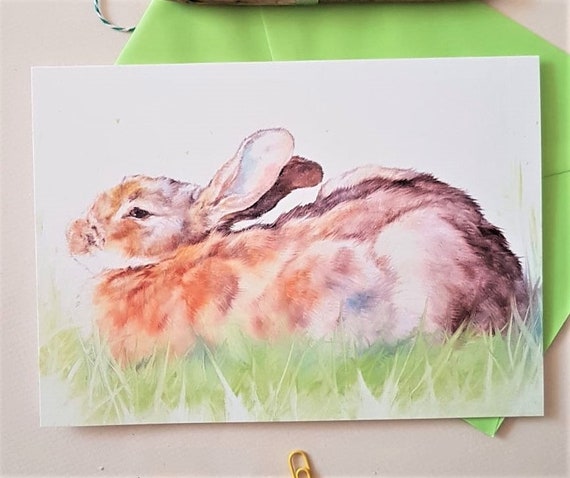 Rabbit Everyday Blank Card & Notelet Bunny Rabbit Thank you | Etsy