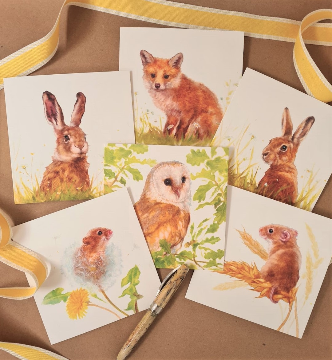 Wildlife Animal Greeting Card Pack Animal Anniversary Gift - Etsy
