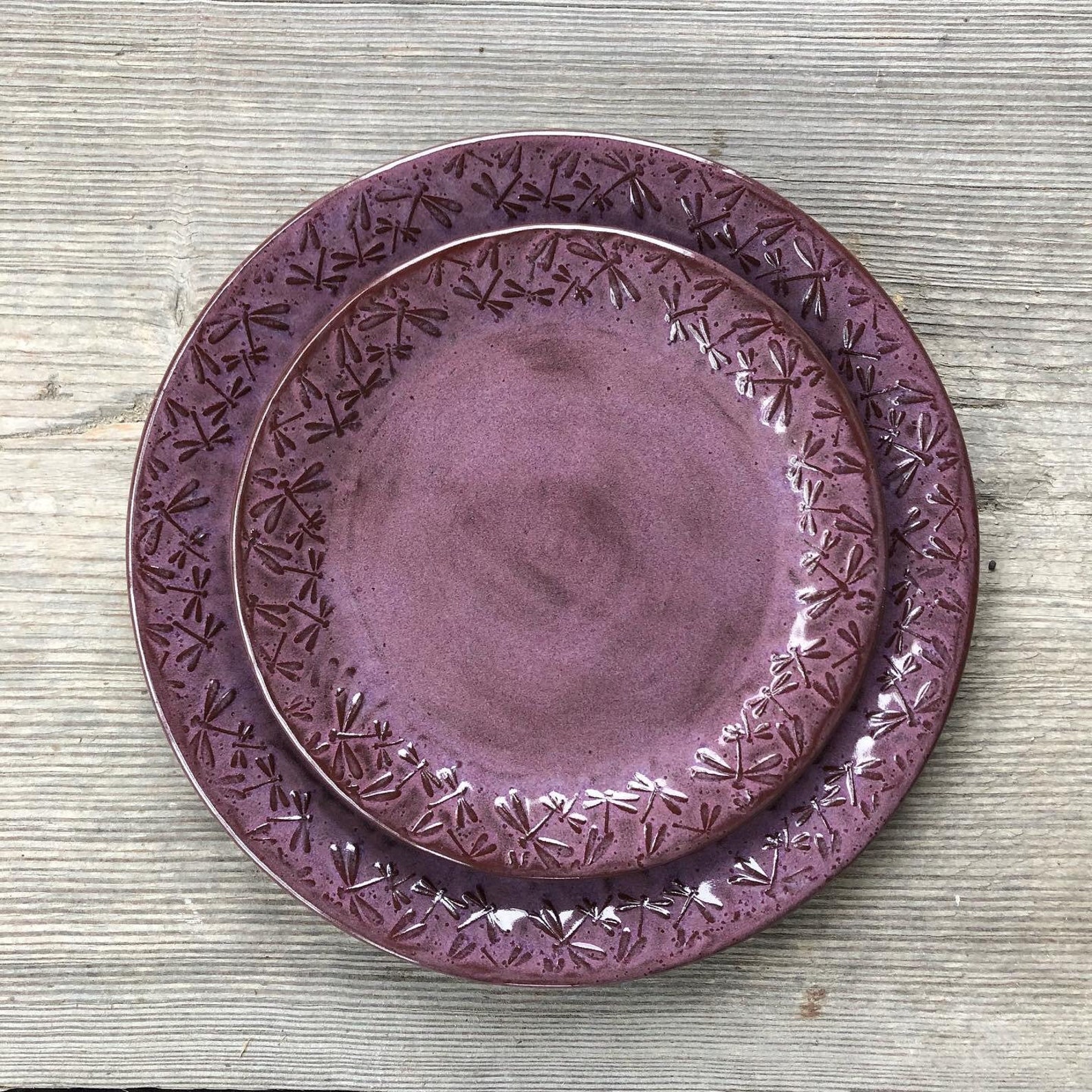 Dragonfly Pottery Plates Embossed With Dancing Dragonflies 2pc - Etsy