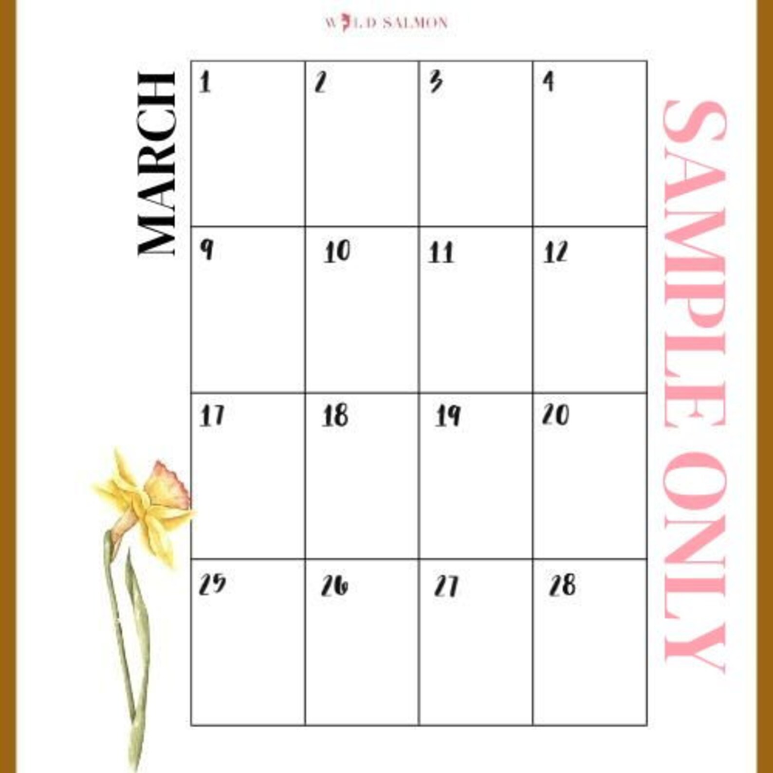 90 Modern Script CLIP ART FILES Transparent Background Hand Drawn Png ...