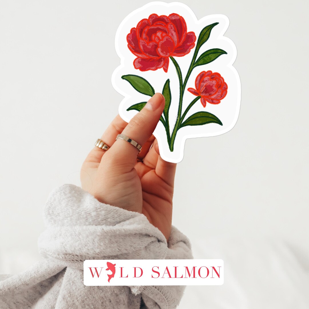 Pink Peony Sticker | Hand Illustrated, Glossy, Water-resistant, Bubble ...