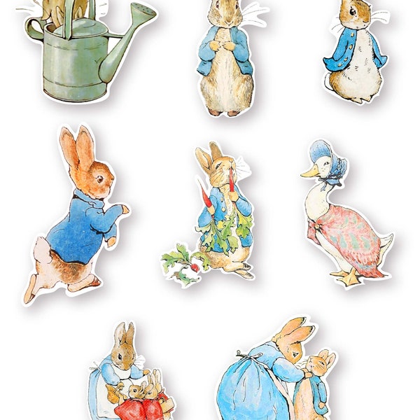 Peter Rabbit Party - Etsy