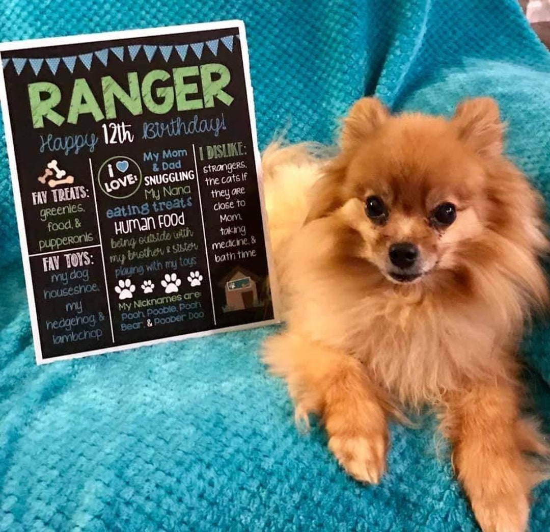 Dog Birthday Chalkboard Sign-puppy Dog Dog Bones Printable Birthday ...