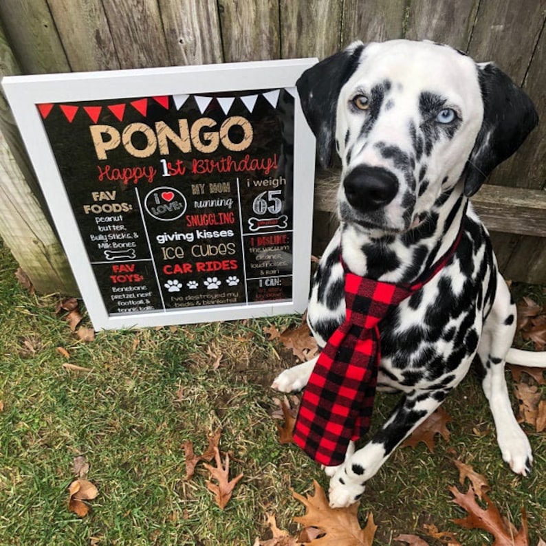 Dog Birthday Chalkboard Sign-Puppy Dog Dog Bones Puppy | Etsy
