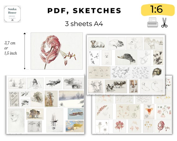 DIY PDF Sketches Drawings Outline Flowers Animals Trees - Etsy
