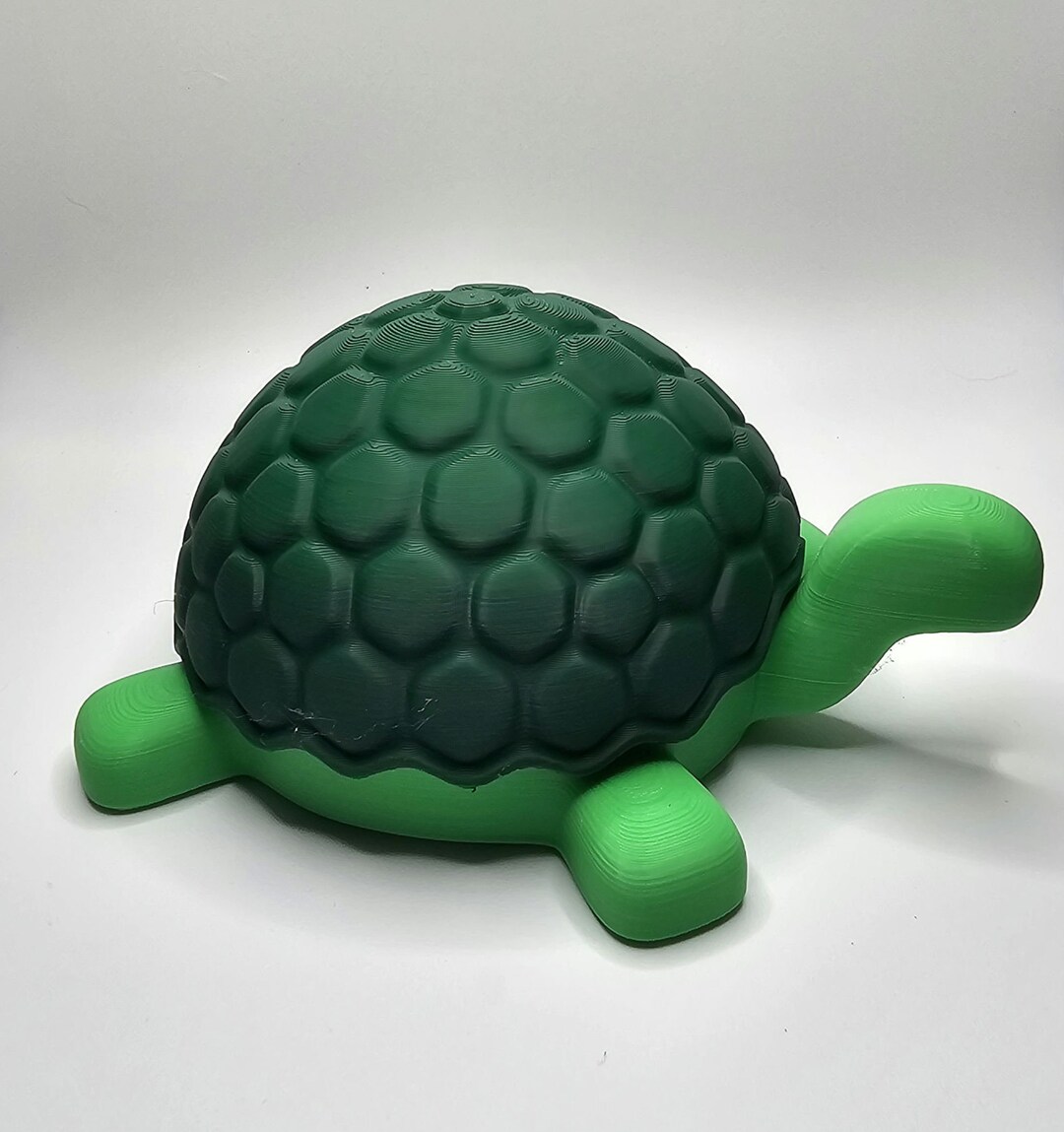 Turtle Jewelry Box for Kids or Adults! - Etsy