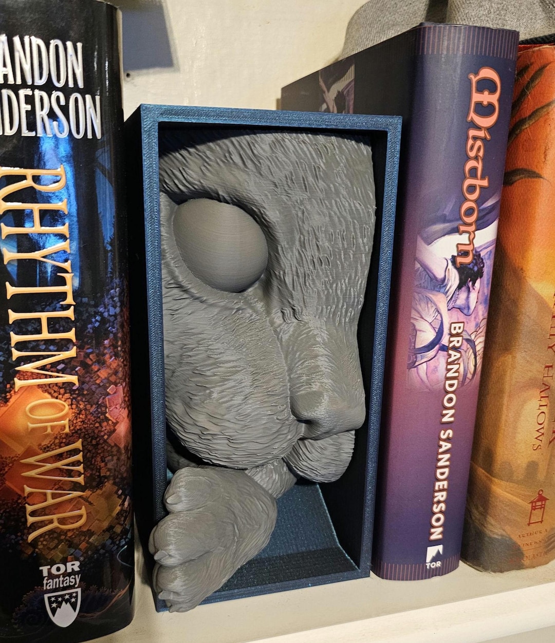 Playful Cat Book Nook! - Etsy